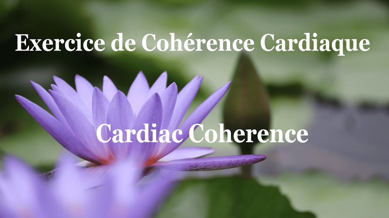 💖 Cohérence Cardiaque Exercices. Cardiac Coherence n°1 - YouTube
