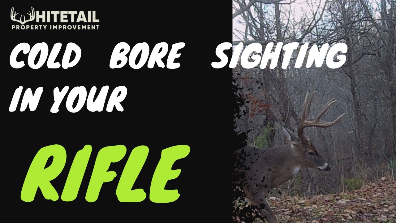 Cold Bore Sighting in your Rifle … Whitetail Hunting "MUST DO" - YouTube