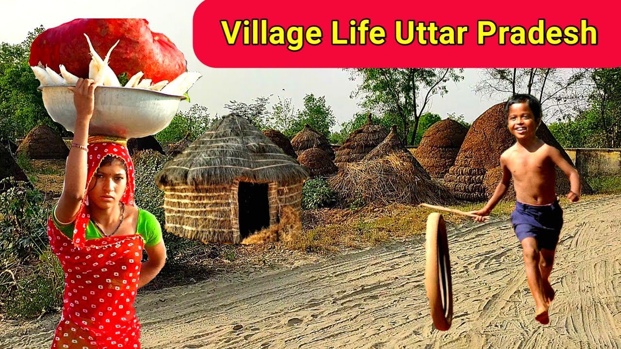 Daily Farmer Life in India || village Lunch Routine || Uttar Pradesh ...