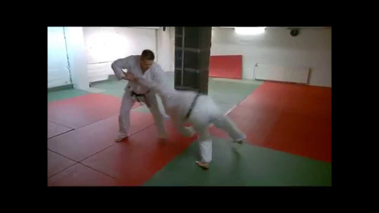 Haiwan uke - YouTube