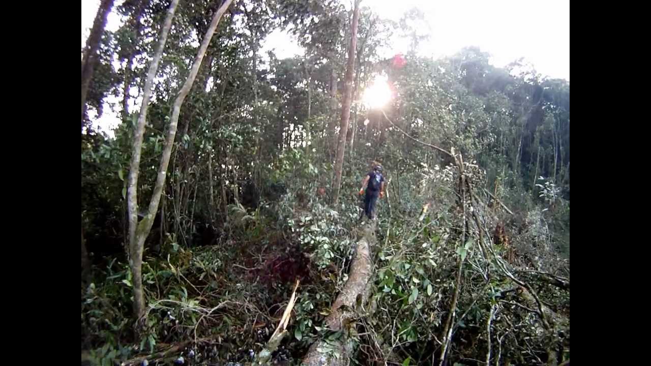 SKL - Hiking to Gunung Swettenham (1961m), Cameron Highlands, Pahang ...