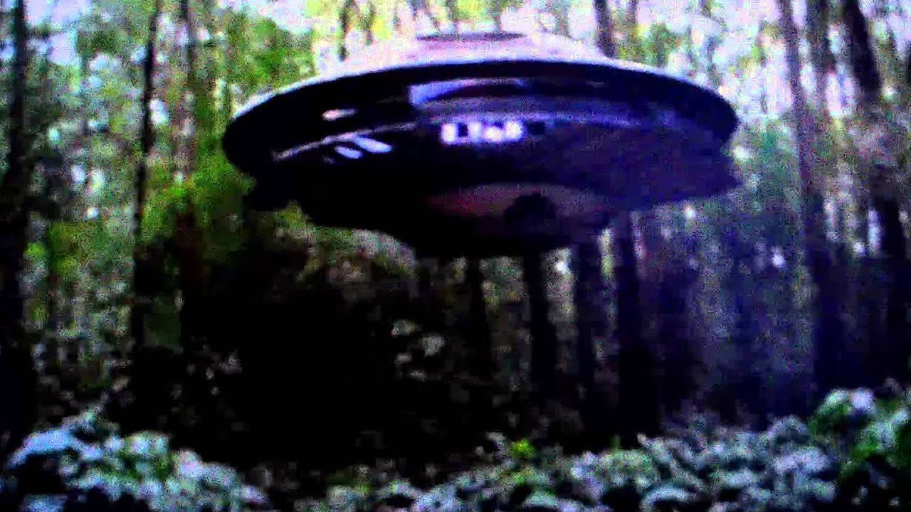 Top 5 Strange UFO Sightings In 2024 That Prove Aliens Are Near - YouTube