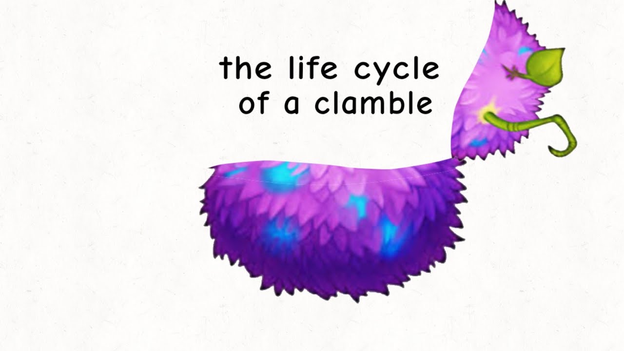 the life cycle of a clamble - YouTube