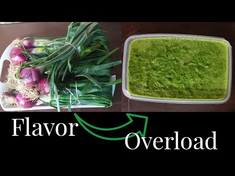 Flavor Overload: DIY Homemade Spring Onion Spice Blend - YouTube