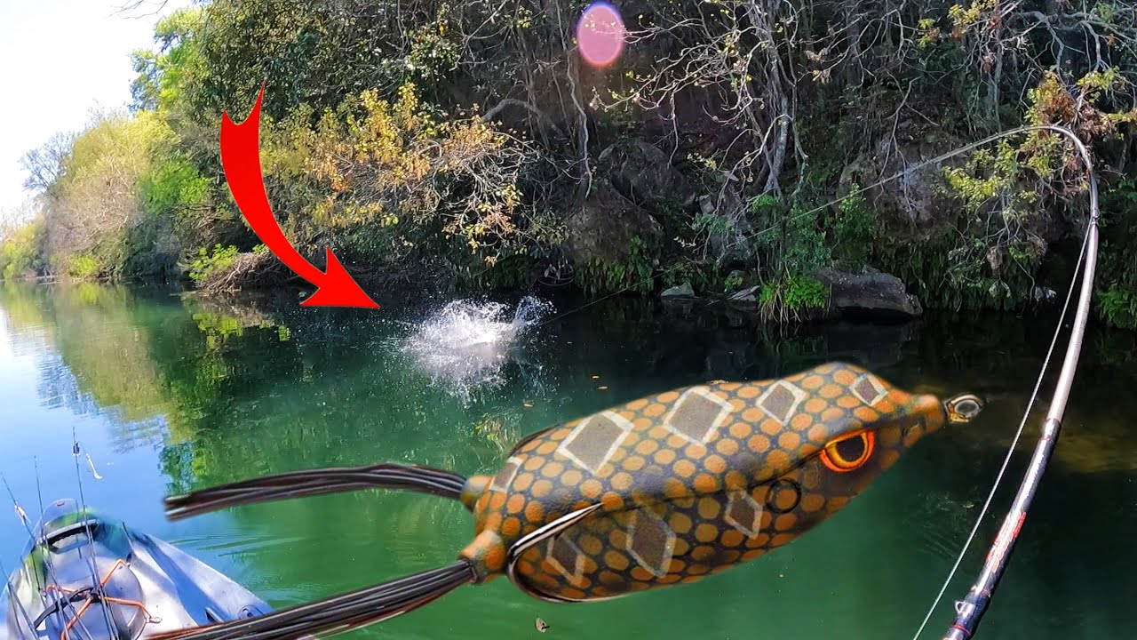 Hunting For MONSTER Frog Bites on Lady Bird Lake - YouTube