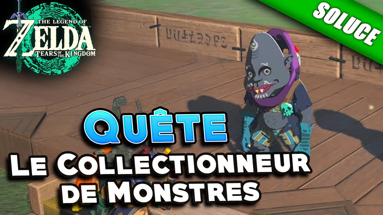 Le Collectionneur de Monstres [Quête/Solution] - Zelda Tears Of The ...