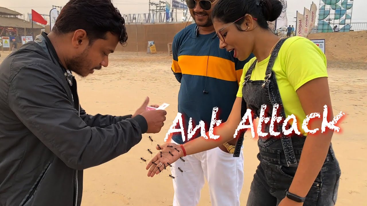 Ant Attack🐜l Magic Trick l Magician Bishnu Prasad 🔮 - YouTube