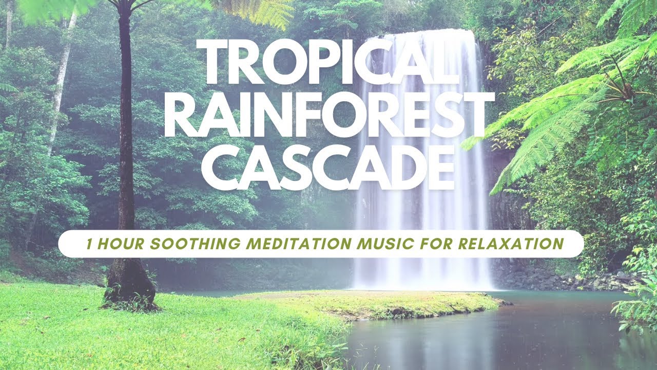 1 Hour Tropical Rainforest Cascade Soothing Meditation Music for ...