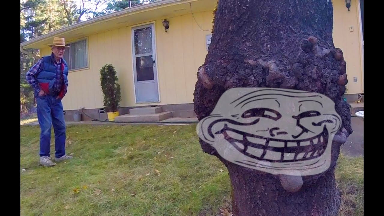 94 Year Old Man Tired of Being Scared of Oak Tree - YouTube