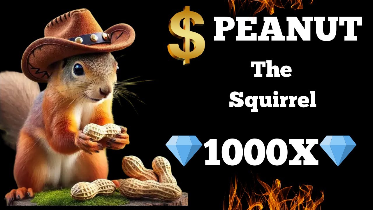 Peanut The Squirrel: Elon Musk's 100x-1000x Memecoin for this Bull Run ...