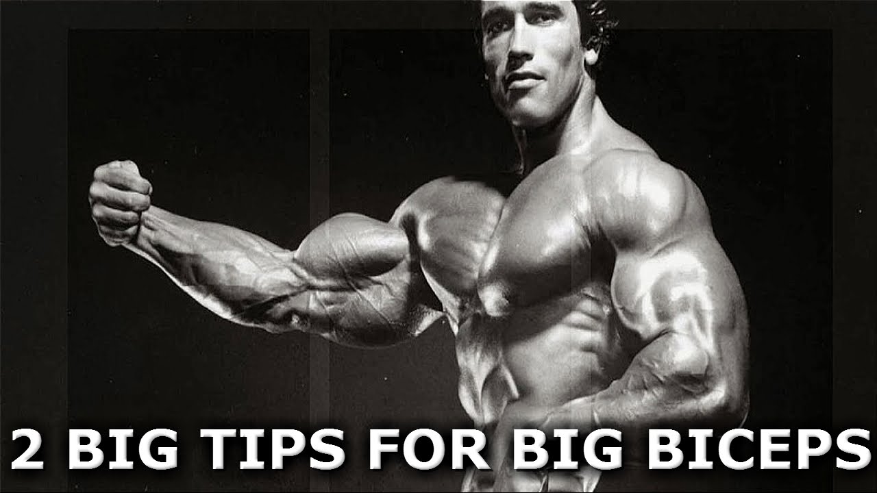 2 Big Tips For Big Biceps - YouTube