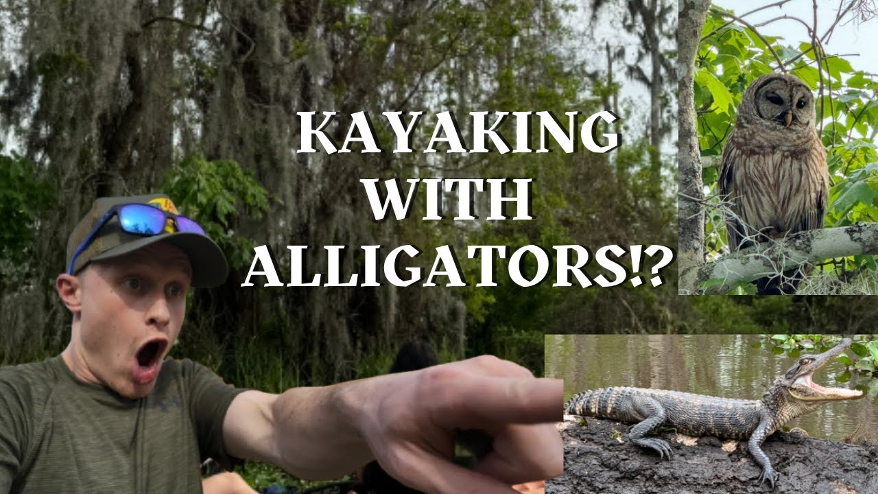 KAYAKING WITH ALLIGATORS?! - EXPLORING THE NEW ORLEANS BAYOU - YouTube