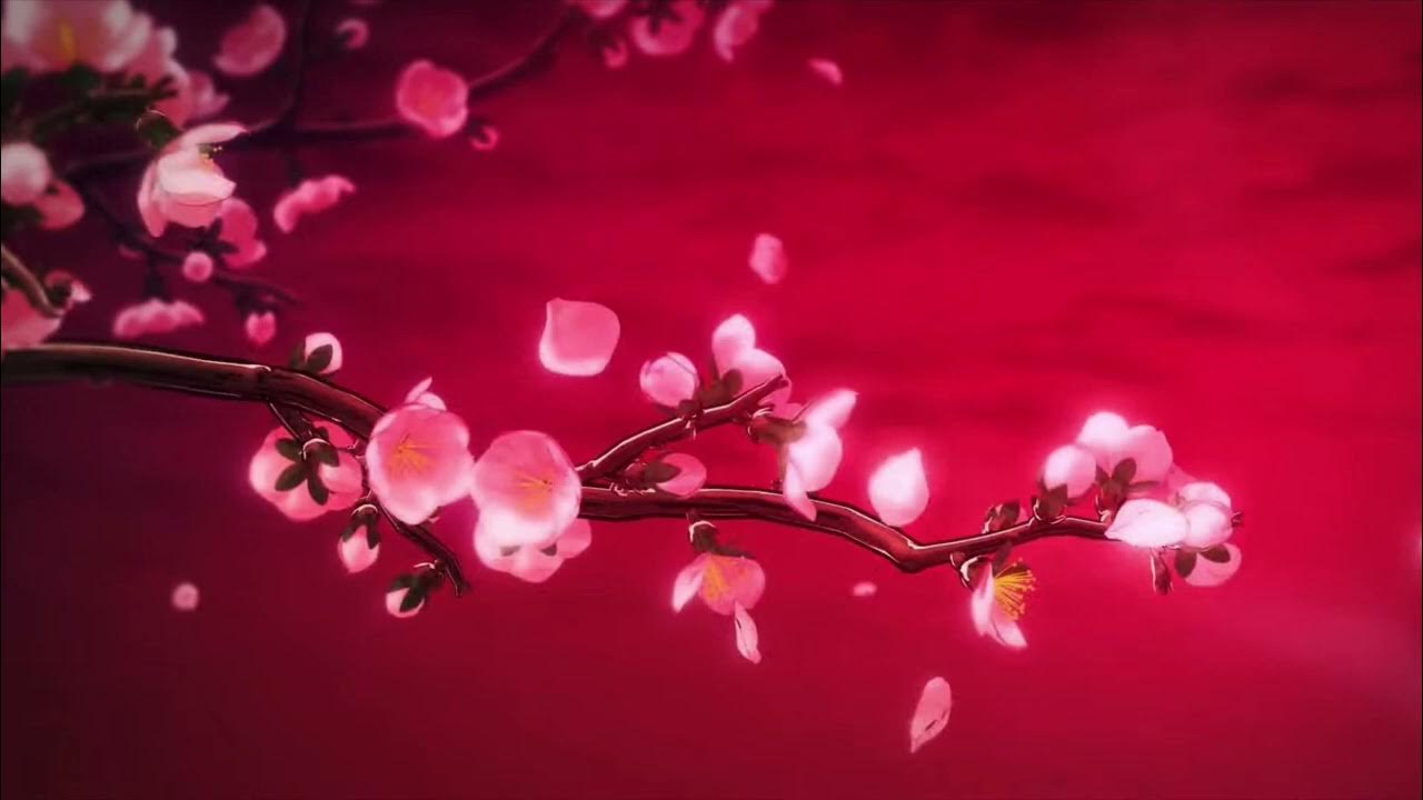 화산귀환 팬브금 붉은 매화 Youtube Music