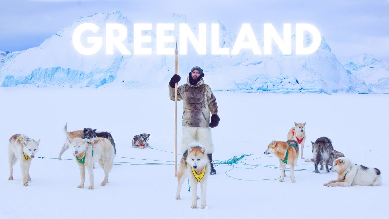 How I learnt Dog Sledding | Life in coldest place on earth | Indian in ...
