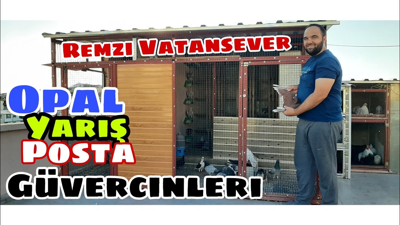 REMZİ VATANSEVER POSTA GÜVERCİNİ KÜMESLERİ - YouTube