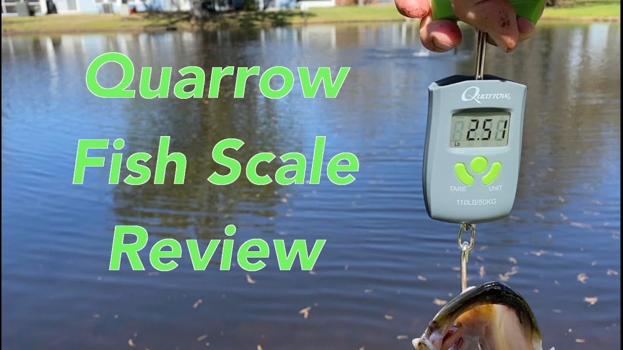 Quarrow Fish Scale Review [EASY to Use!] (Link Below ⬇️) - YouTube