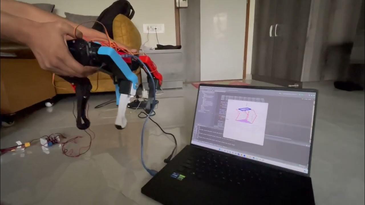 Spot Mini Dog (quadruped Robot) - Walking - YouTube