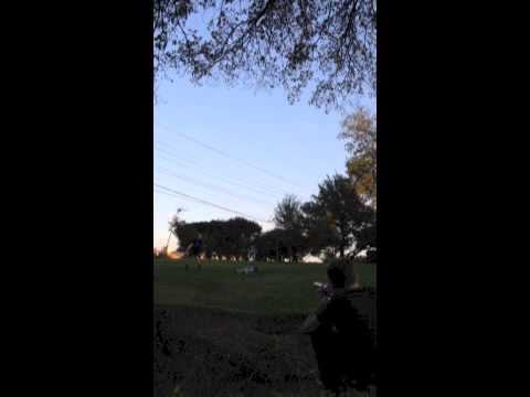 The Grass Fight - YouTube