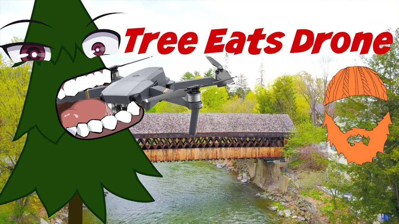 Pine Tree Ate My DRONE, DJI MAVIC PRO (Vlog #15) - YouTube