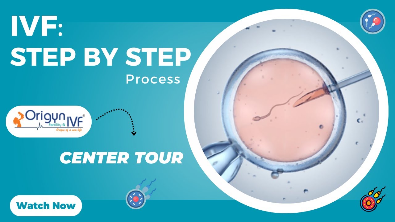 IVF: Step By Step Process | Origyn Fertility and IVF Center Tour | IVF ...