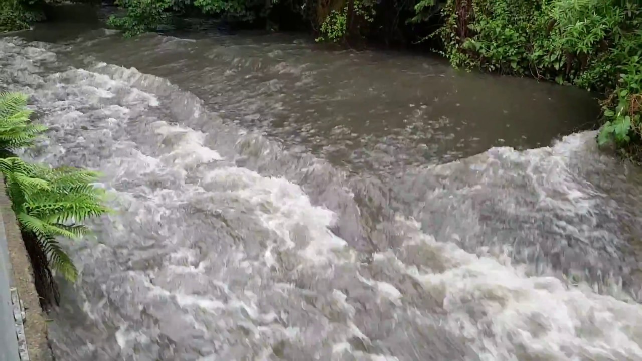 River Camac beside my house - YouTube