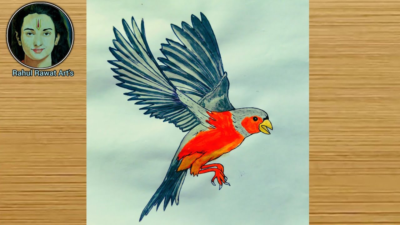 How to draw a Eagle flying easy step by step - YouTube