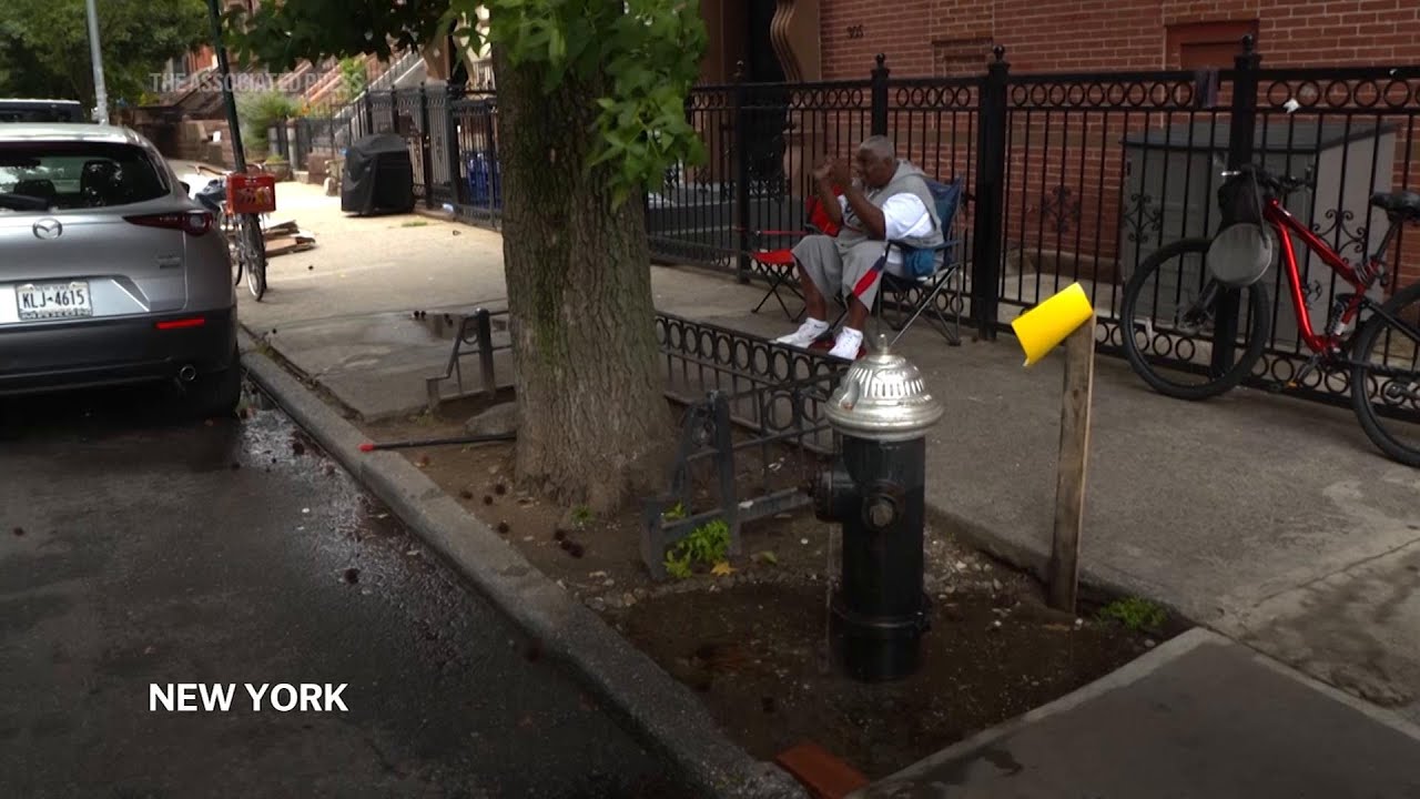 A homemade aquarium appeared in a Brooklyn puddle. Then came the ...