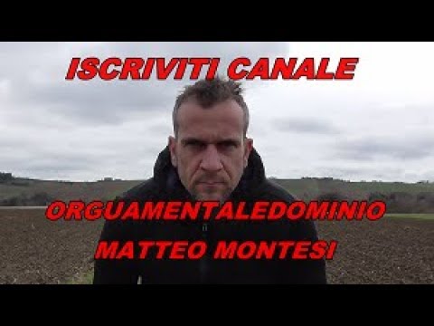 ISCRIVITI AL CANALE DI MATTEO MONTESI ORGUAMENTALEDOMINIO 2018 - YouTube