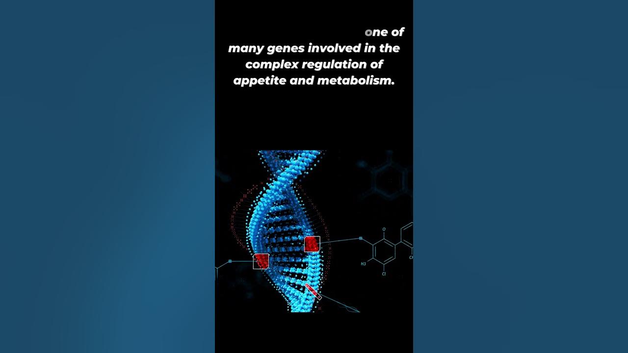 Gene mutation that can cause obesity - YouTube