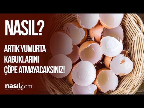 Kalsiyum Kaynağı Yumurta Kabuğu NASIL Kullanılır ve Ne İşe Yarar?