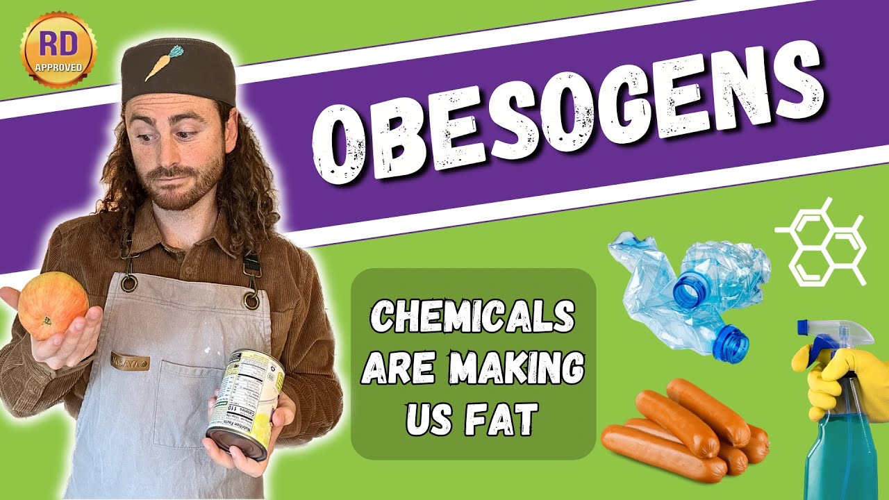 What Are Obesogens and How Are They Making Us Fat? | Dietitian Explains ...