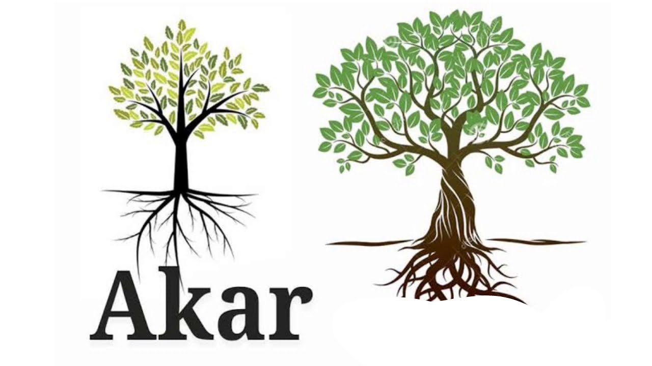 Contoh-contoh Tumbuhan Akar Serabut dan Akar Tunggang - YouTube