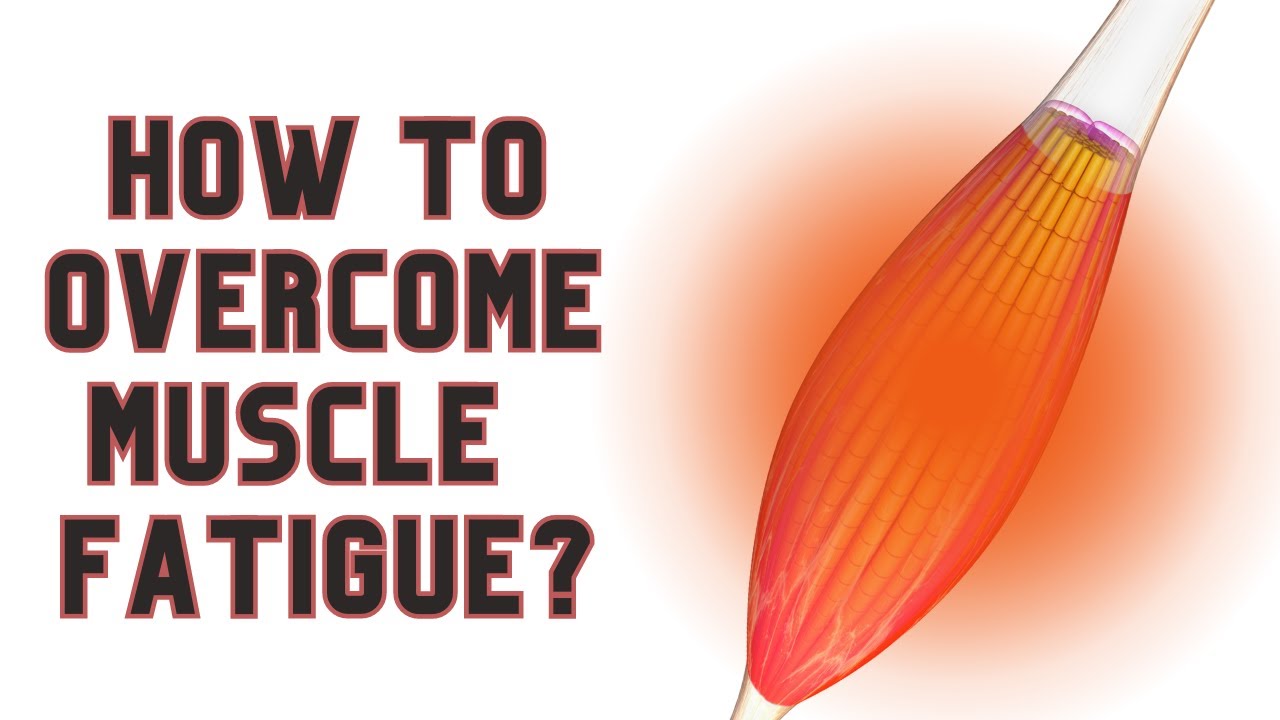 Beating Fatigue: The Science of Muscle Fatigue and How to Overcome It ...