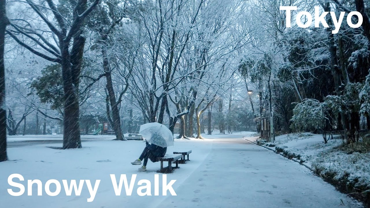 Snowy Walk in a Tokyo Park [4k] - YouTube