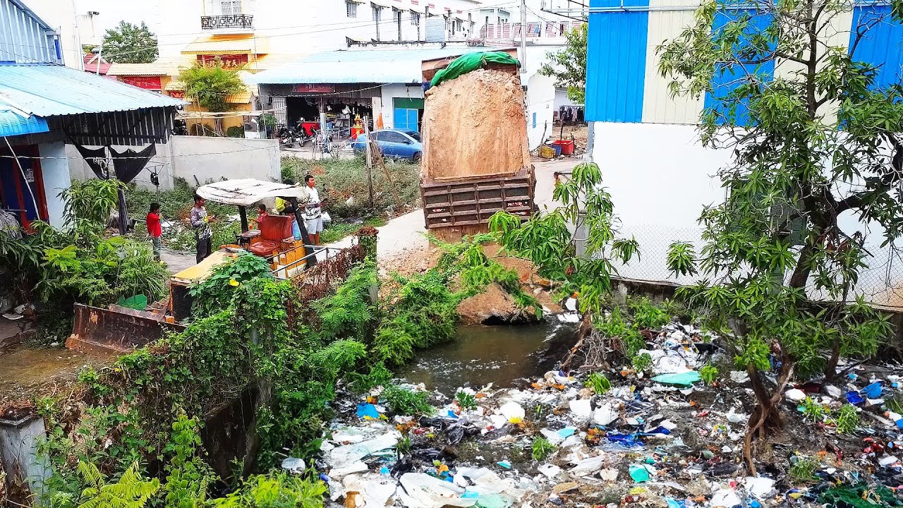 Start Amazing Project to turn down the dirty forest, garbage and trees ...