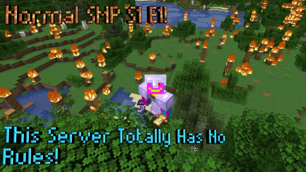 What Is This Start! - tHE NOrMal SMP S1 E1 - YouTube