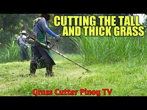 HOW TO CUT OR TRIM THE THICK AND TALL GRASS, USING GRASS CUTTER/ GRASS ...