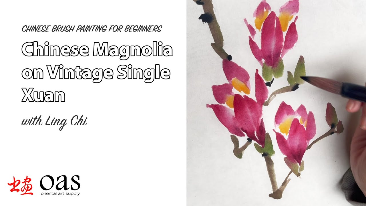 Chinese Flower Painting for Beginners Magnolia on Vintage Single Xuan ...