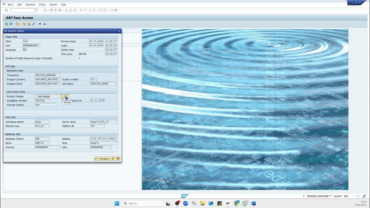 How to Check SAP Version | Step by Step - YouTube