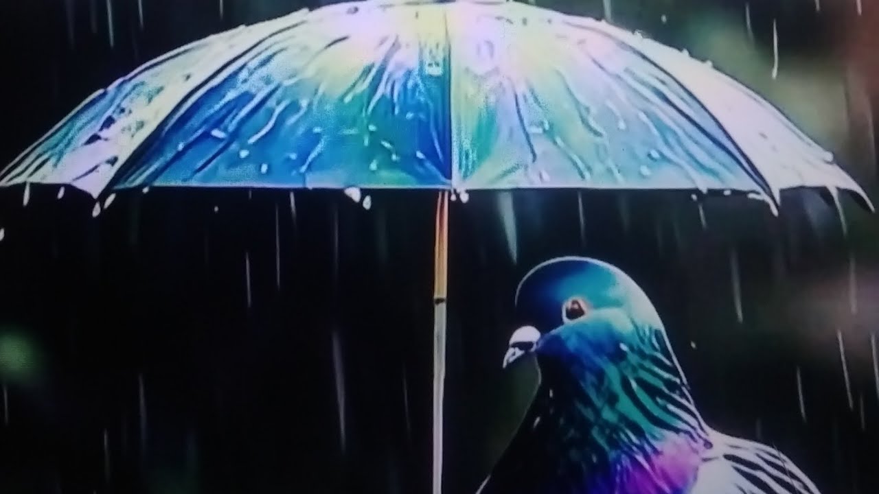 Suparna Sinha is live Somporko 😎 - YouTube