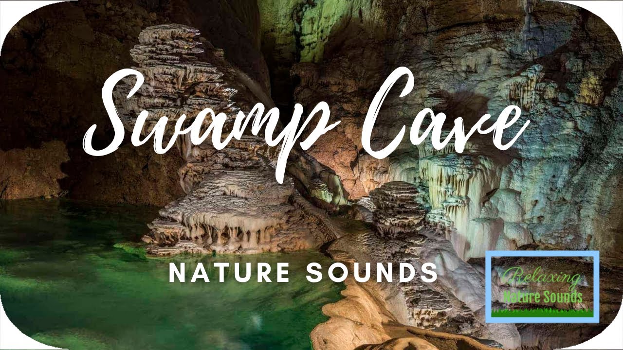 🏔️ Swamp Sounds in Cave for DEEP Sleep Relaxation | Swamp Sounds at ...