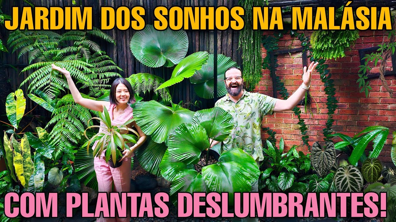VIAJE pelo JARDIM dos SONHOS na Malásia: PLANTAS Incríveis - Grande ...