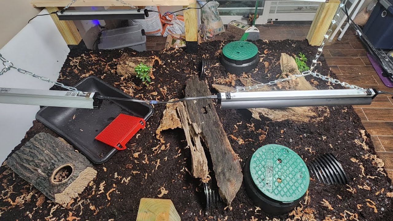 Ultimate indoor box turtle enclosure build. - YouTube