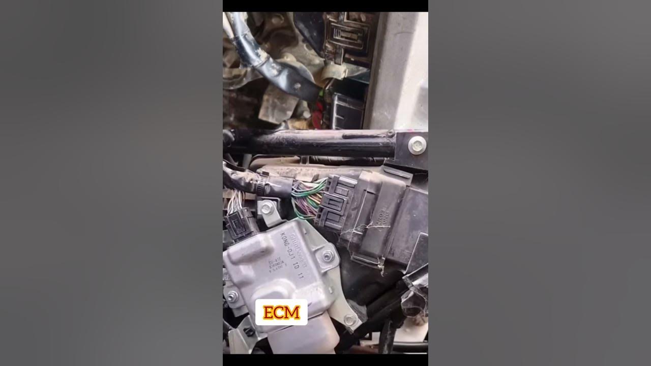 Bike ECM#shortvidio #youtubeshort #Ecm#viral - YouTube