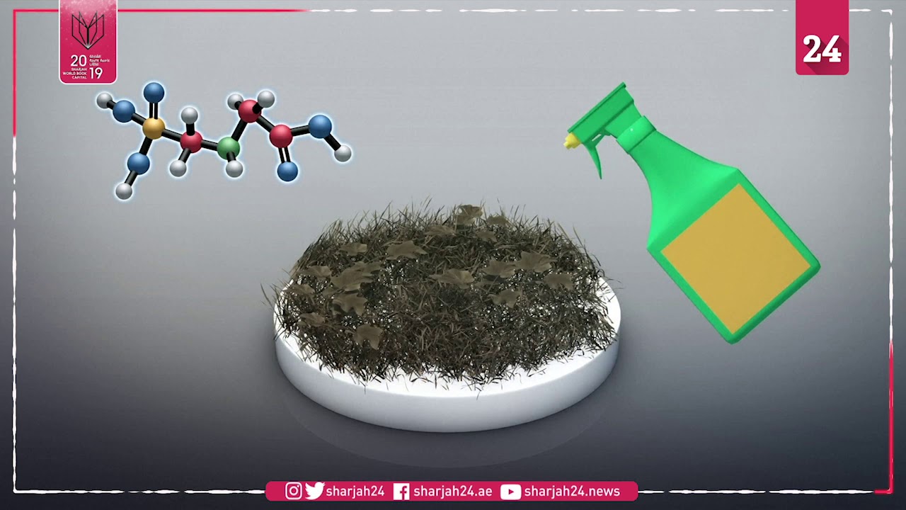 EPA claims toxic chemical in Roundup doesn't cause cancer - YouTube