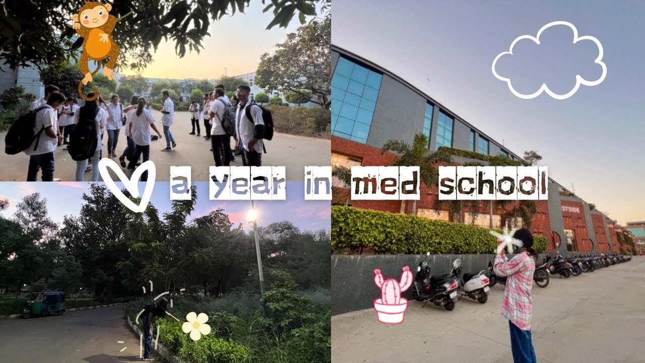 first year in med school (as a song) - YouTube