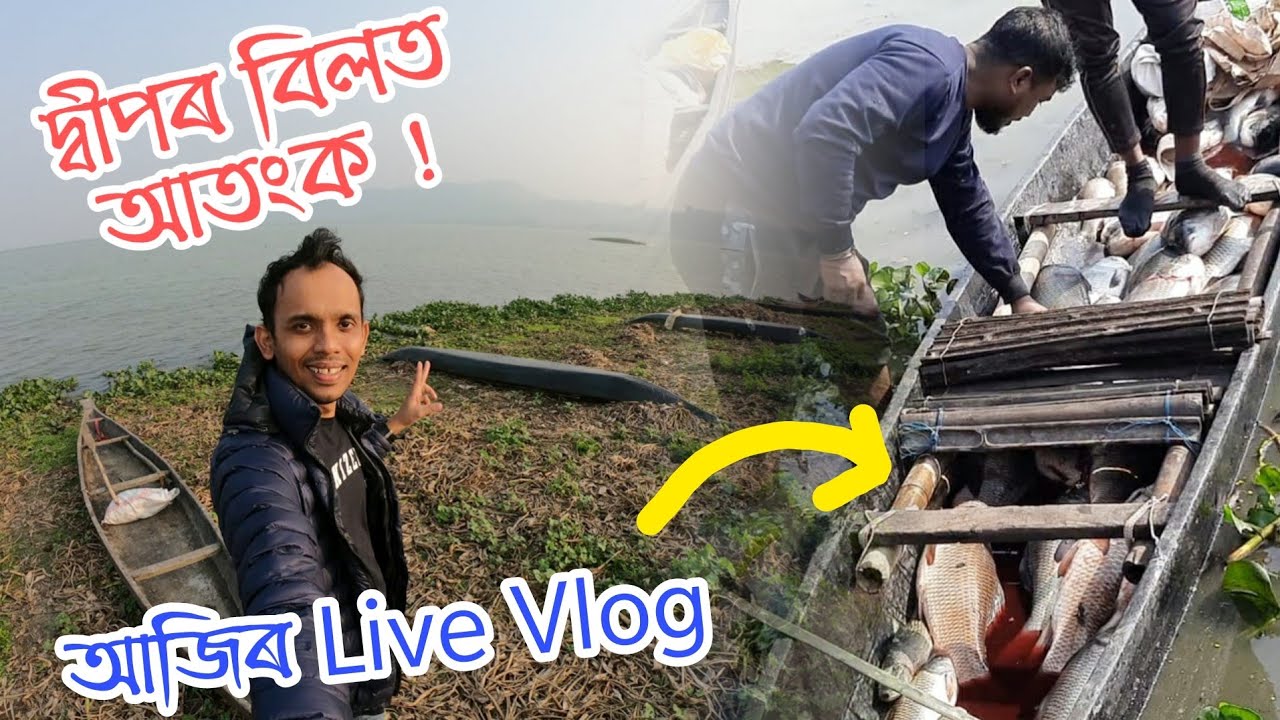 Unseen Deepor Beel | Fishing Today | Bihu Started | Assamese Vlog 03 ...