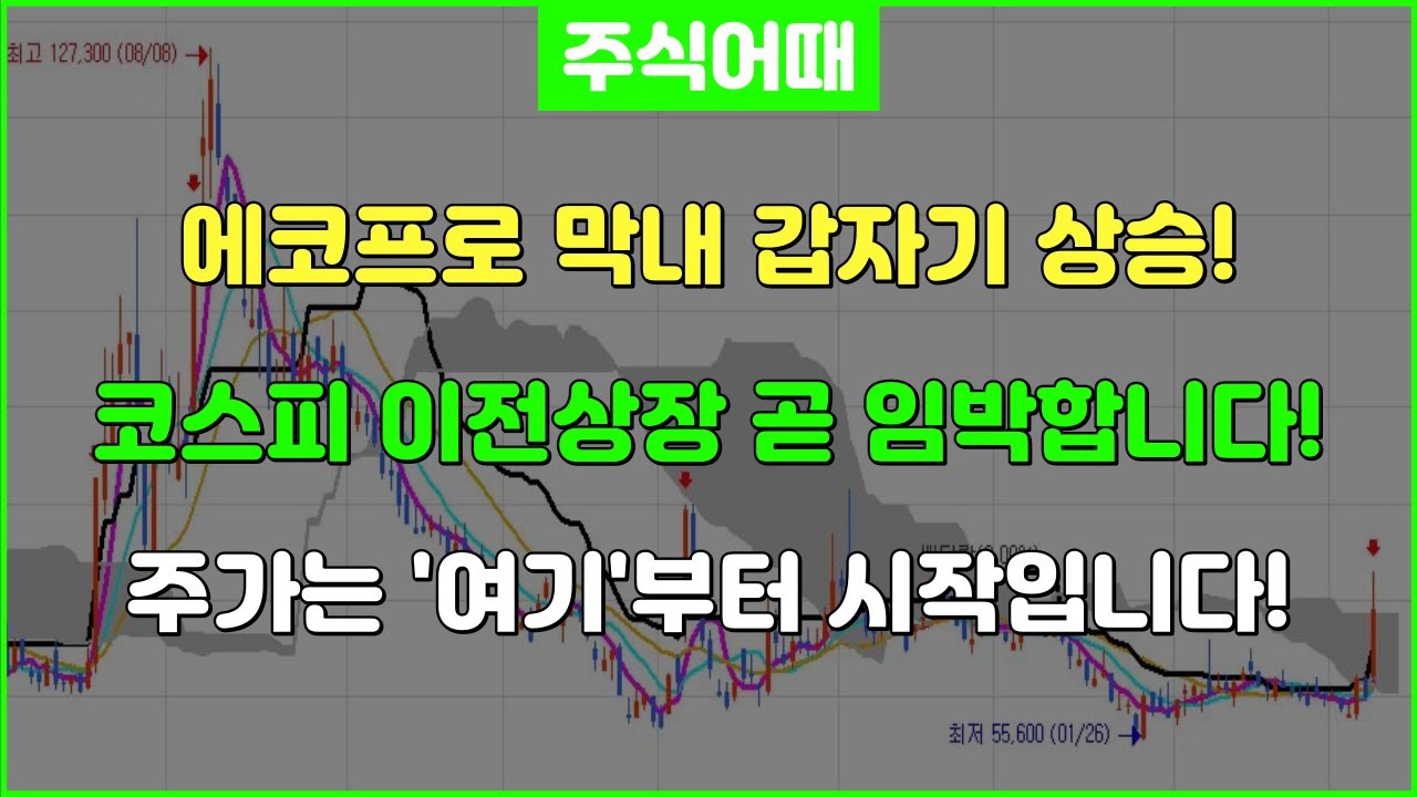 에코프로에이치엔 에코프로 막내 갑자기 상승 코스피 이전상장 곧 임박합니다 주가는 여기부터 시작입니다 Youtube