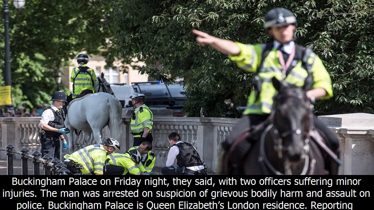 British police detain man with knife outside buckingham palace - YouTube