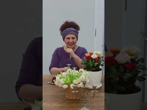 Keltos nasıl ultumatom verdi özlem 🤣🤣🤣🤣🤣🤣🤣🤣